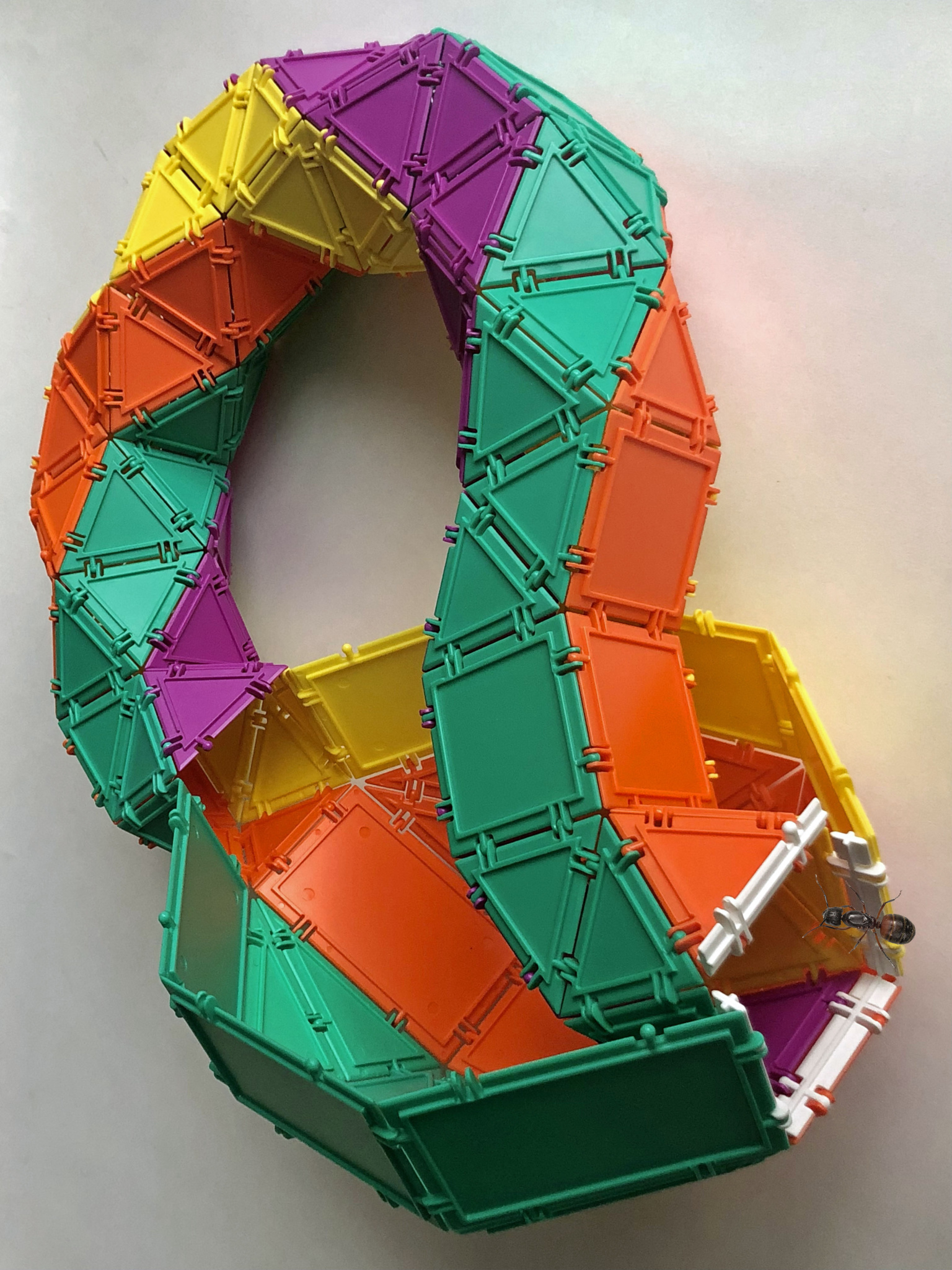 The Geometiles Klein Bottle - Geometiles®